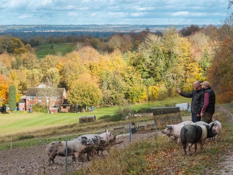 Buckmoorend Farm - Responsible Farming, Quality Meat, Local Produce