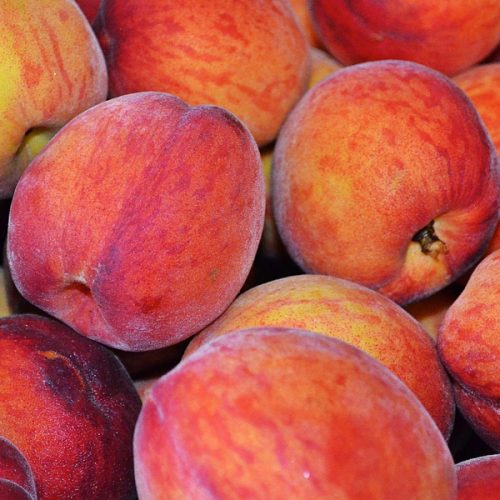 Peaches - Buckmoorend Farm